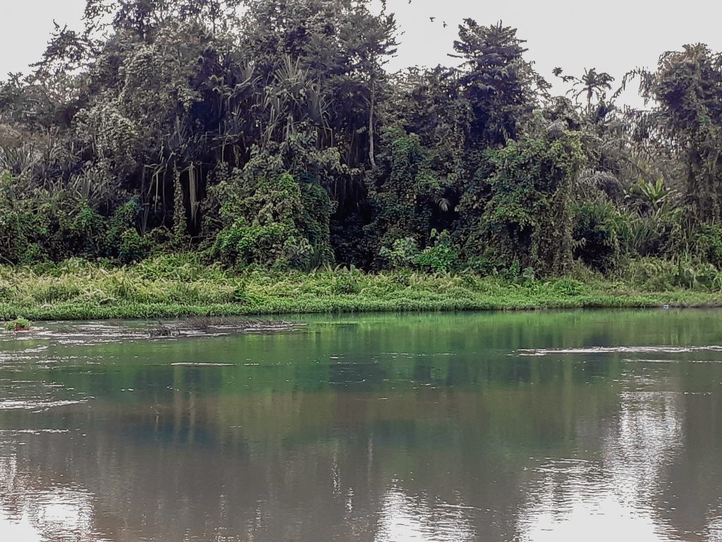 How I Almost Got Arrested at Azumini Blue River - Ijeawele