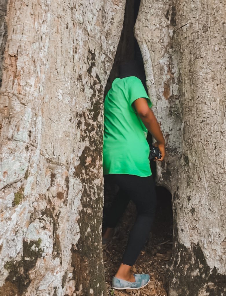 Top 8 Interesting Places to Visit in Abia State - Ijeawele